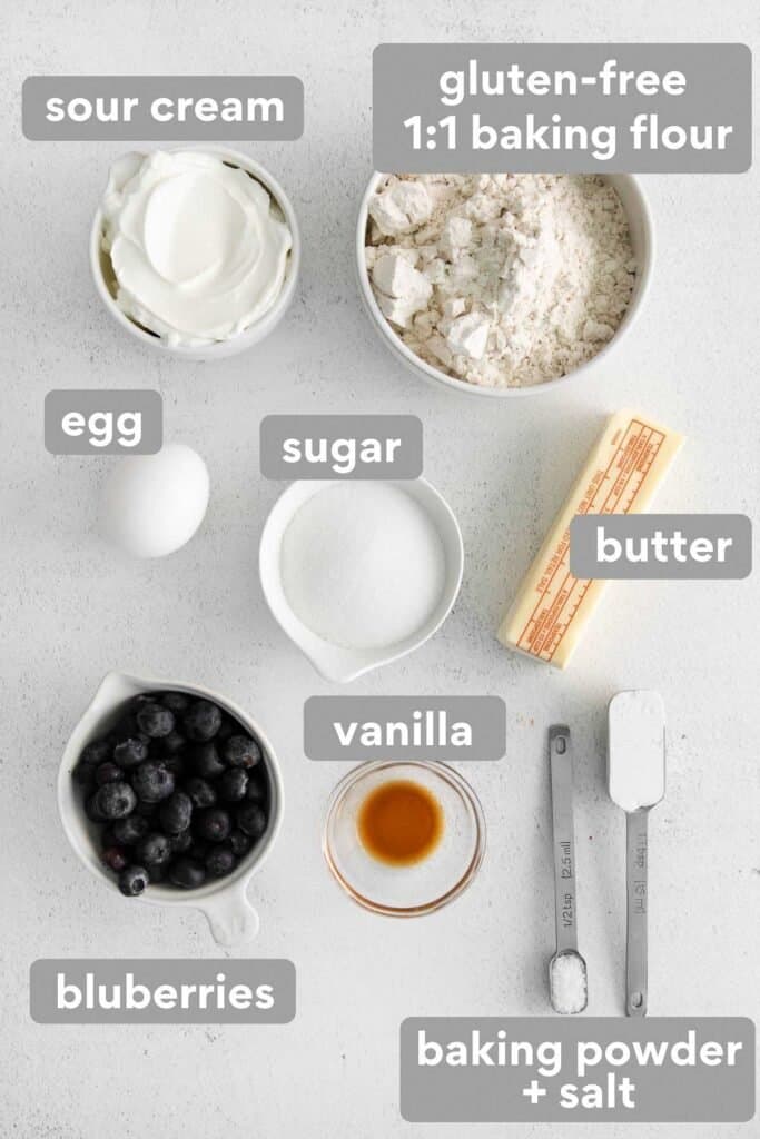 Gluten-Free Blueberry Scones (Bakery Style!) - Meaningful Eats