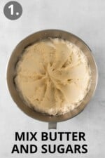 Gluten-Free Ginger Snaps (Old Fashioned!) - Meaningful Eats