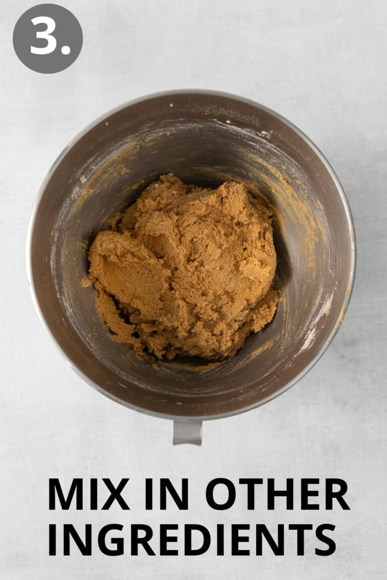 Gluten-Free Ginger Snaps (Old Fashioned!) - Meaningful Eats